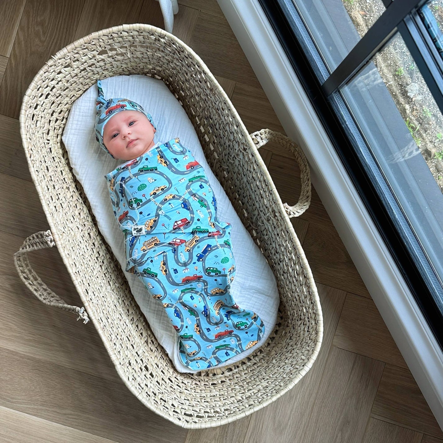 Norani Baby Snugababe Sleep Pod with Arm Inserts - Cars